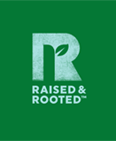 Plant-Based Nuggets Made With Pea Protein | Raised & Rooted